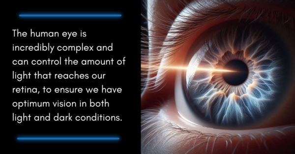 Dark Adaptation: The science behind our eyes - DFL
